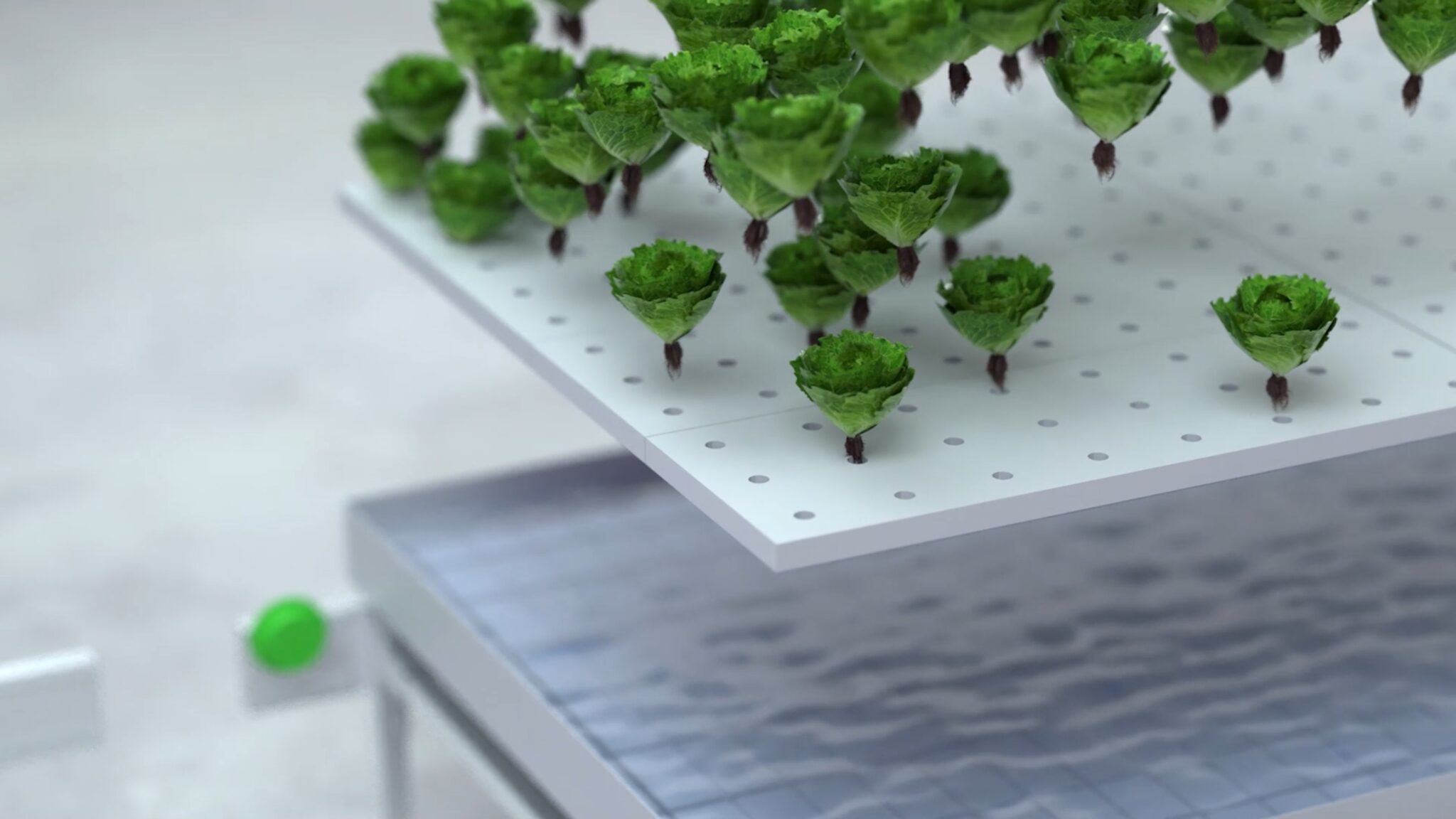 3D Animatie laten maken - Realistisch en creatief